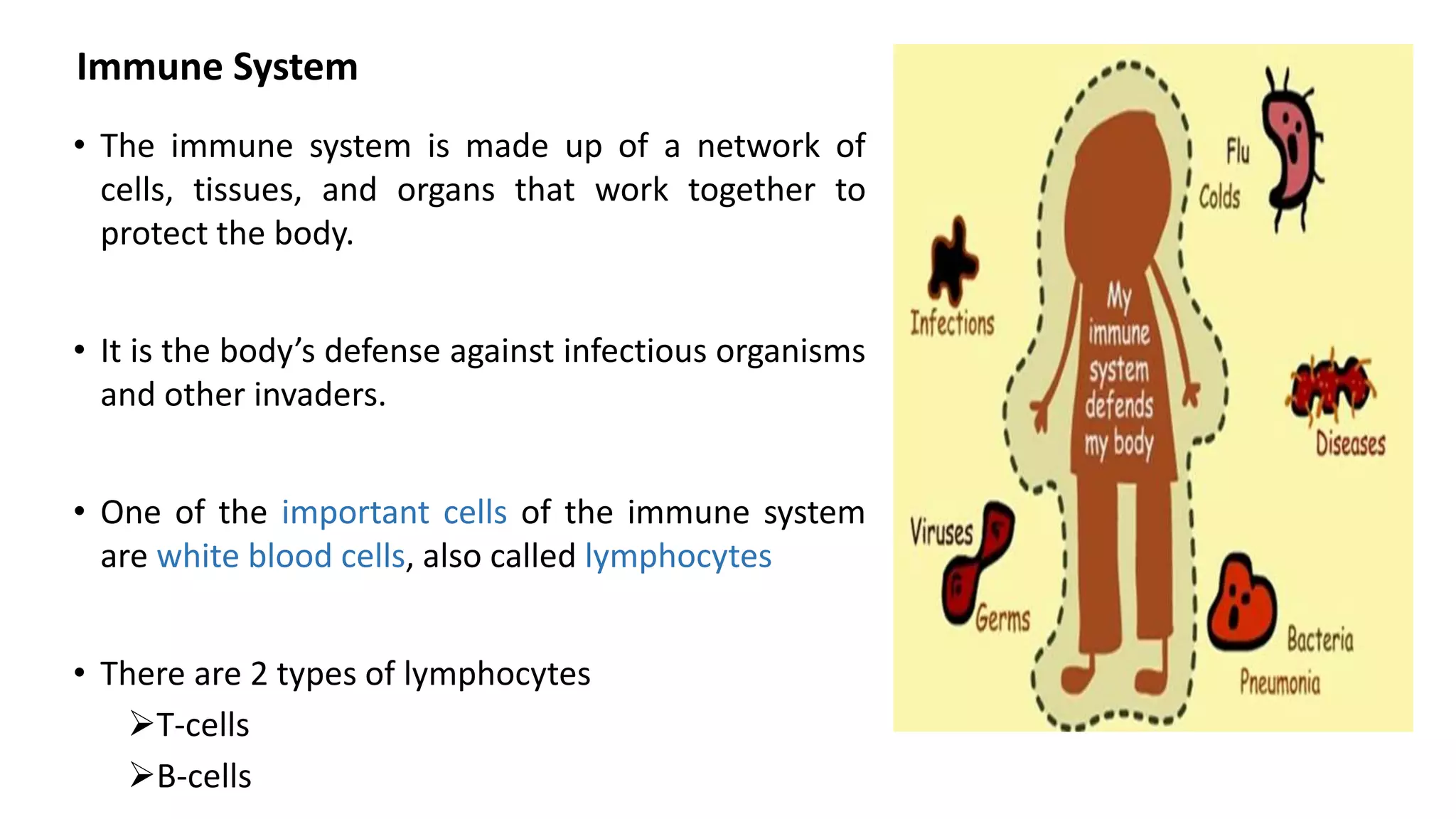 Basics of Immune System | PPTX