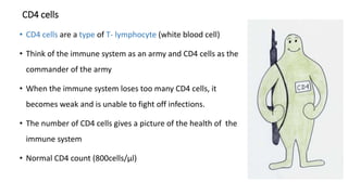 Basics of Immune System | PPTX