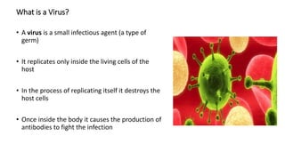 Basics of Immune System | PPTX