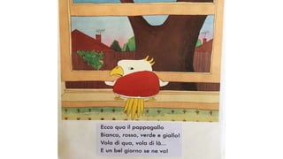 Il pappagallo | PPTX