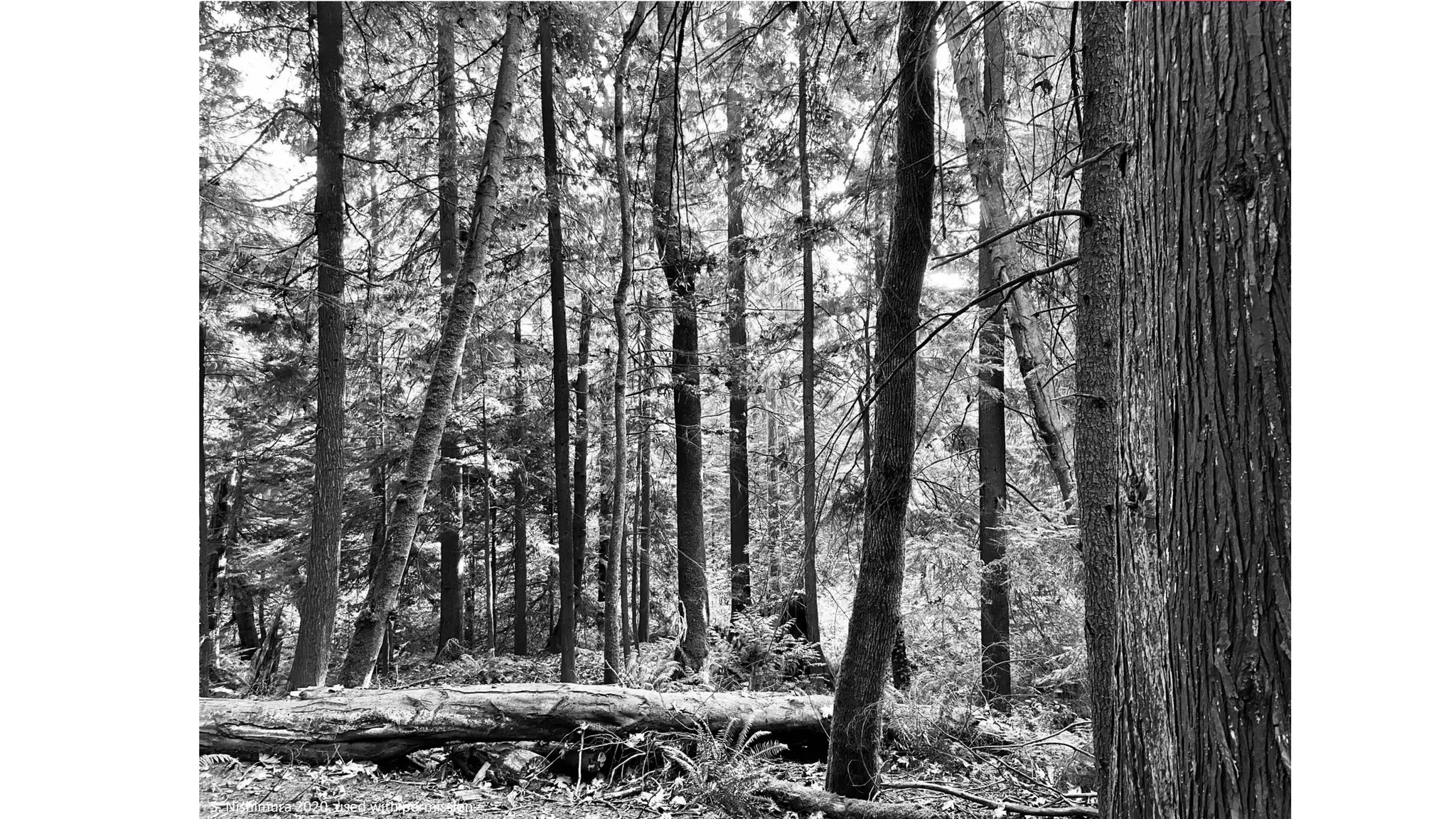 OSeMOSYS Global: An open-source, open data global energy system model generator | PPT