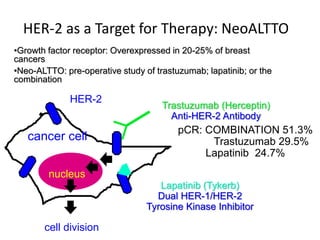 08.Targeted Therapy for Breast Cancer.ppt