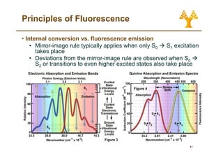 08. Fluorescence Spectroscopy.pdf
