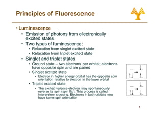 08. Fluorescence Spectroscopy.pdf