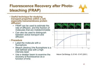 08. Fluorescence Spectroscopy.pdf