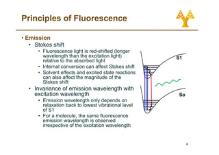 08. Fluorescence Spectroscopy.pdf