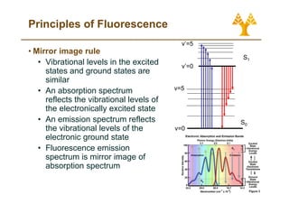 08. Fluorescence Spectroscopy.pdf