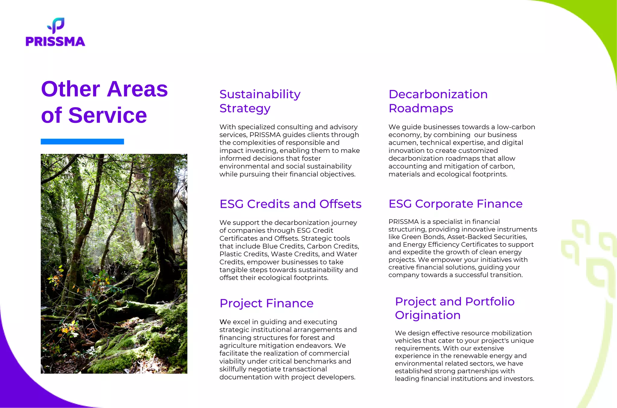 AMAZON REGION REDD+ PROJECTS | PDF