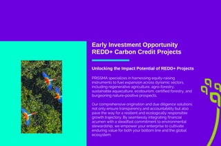 AMAZON REGION REDD+ PROJECTS | PDF