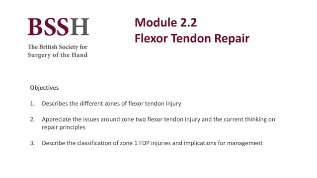 Hand flexor tendon repair basics 40 characters | PPT