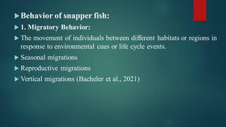 08.Snapper Fish.pdf. Snapper fish stand out as prized species in the ...