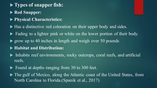 08.Snapper Fish.pdf. Snapper fish stand out as prized species in the ...