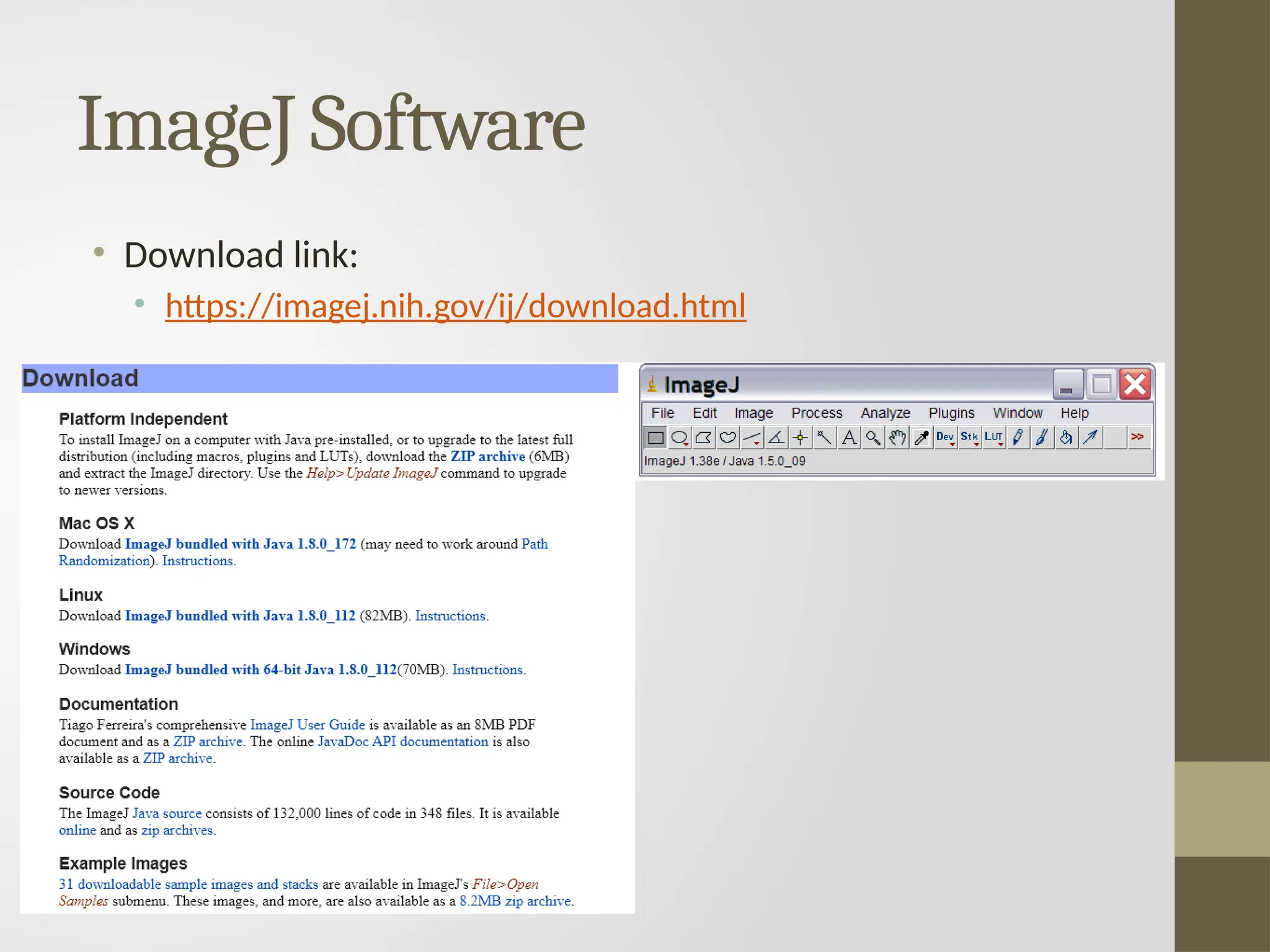 Introduction to imageJ image analysis new | PPTX | Photo Editing Software | Computer Software ...