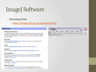 Introduction to imageJ image analysis new | PPTX | Photo Editing ...