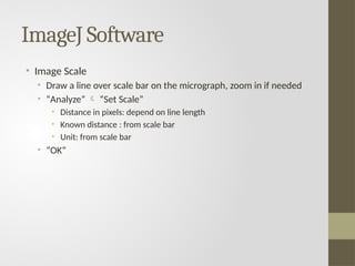 Introduction to imageJ image analysis new | PPTX | Photo Editing Software | Computer Software ...