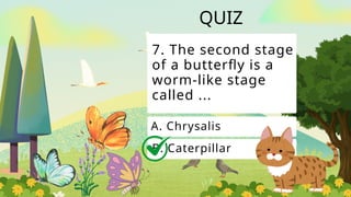 Science Review about Life Cycle Animals and Human | PPT