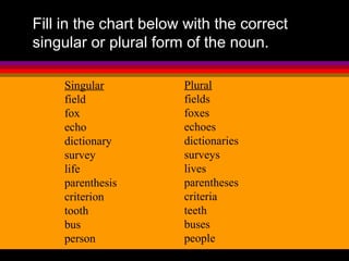 08 27 nouns presentation | PPT