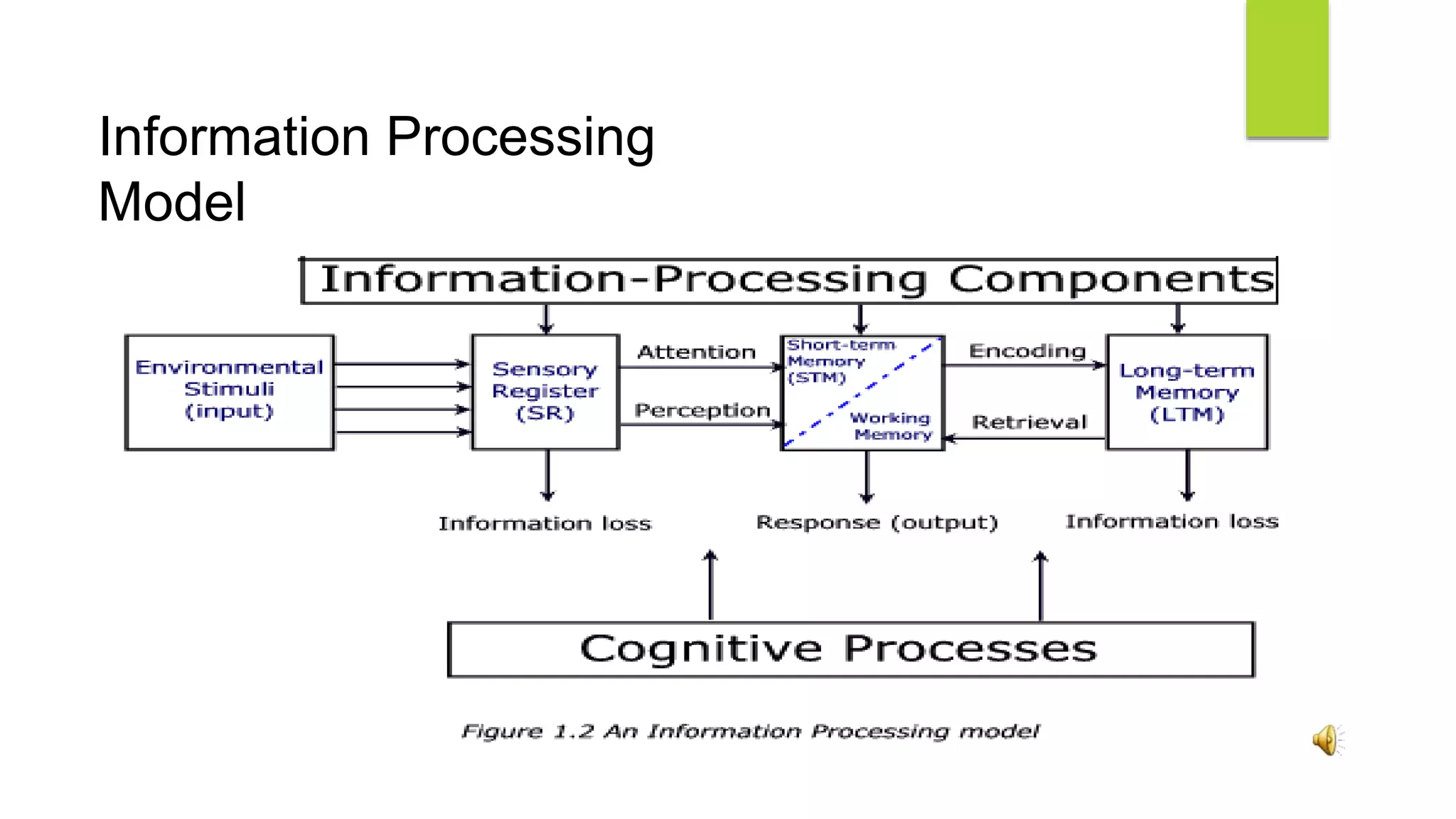 Cognitive View of Learning | PPTX