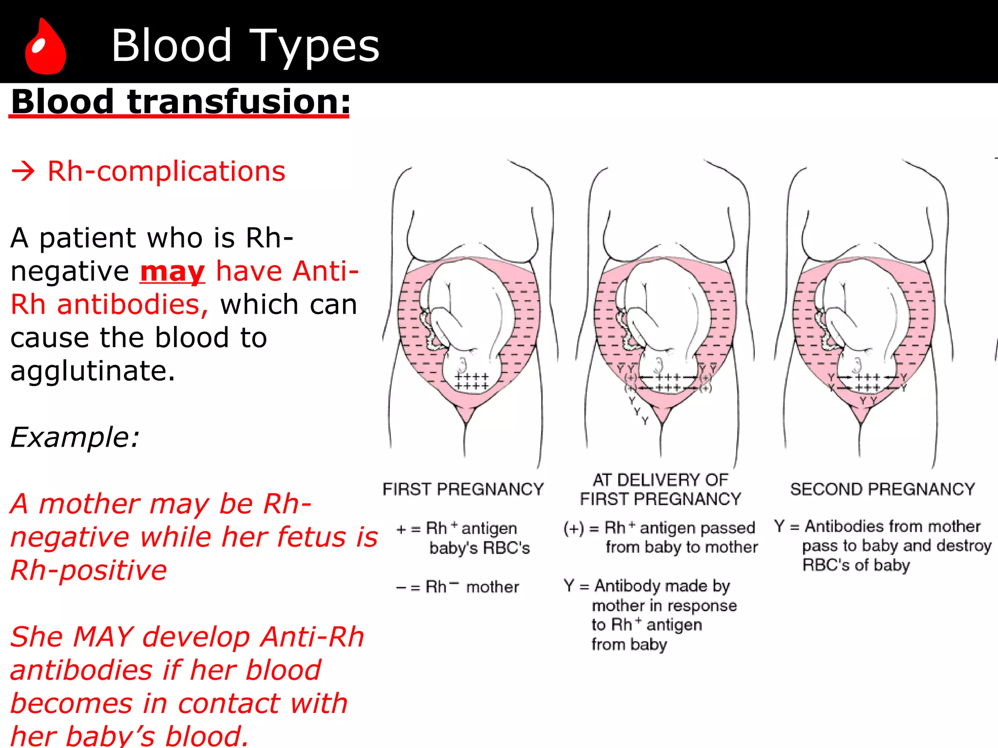 08 blood types | PPT