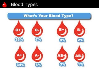 08 blood types | PPT