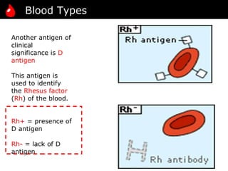 08 blood types | PPT