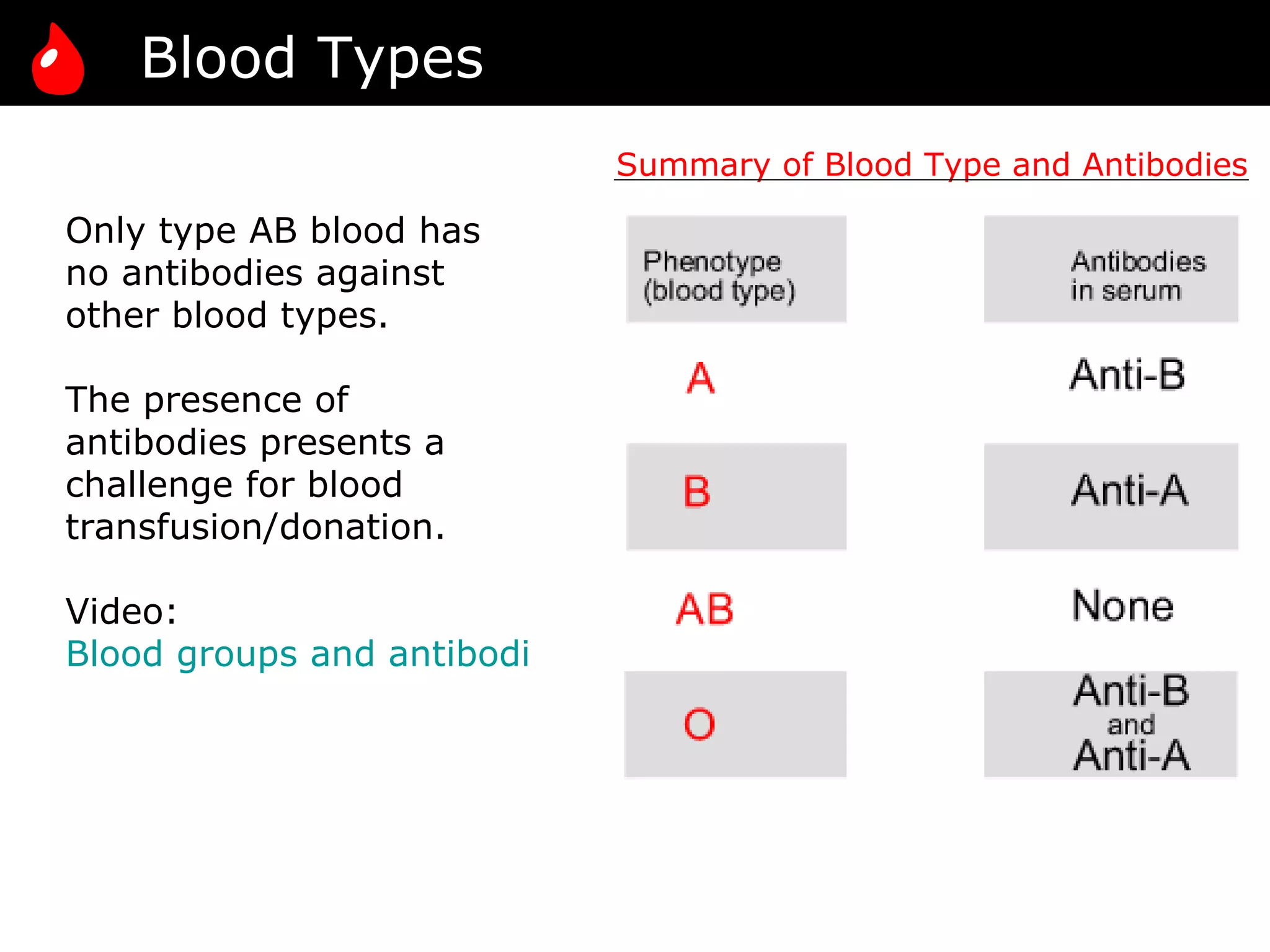 08 blood types | PPT | Free Download