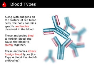 08 blood types | PPT