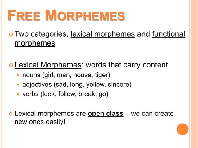 Chapter 6: Morphology | PPTX | Geology | Science