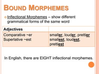 Chapter 6: Morphology | PPTX