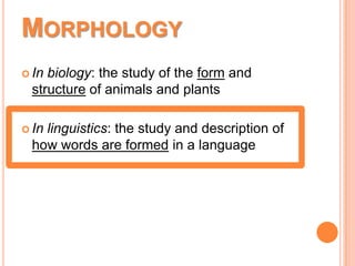 Chapter 6: Morphology | PPTX