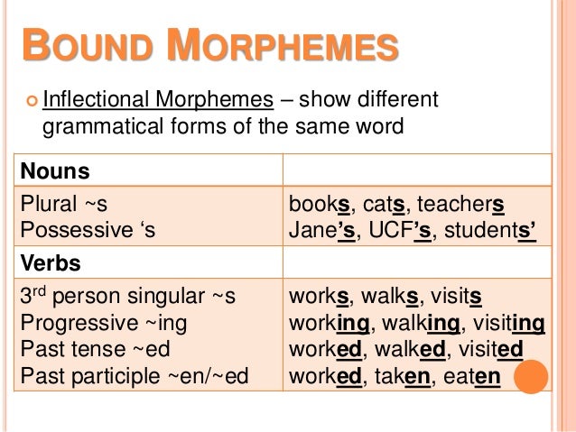 Chapter 6: Morphology