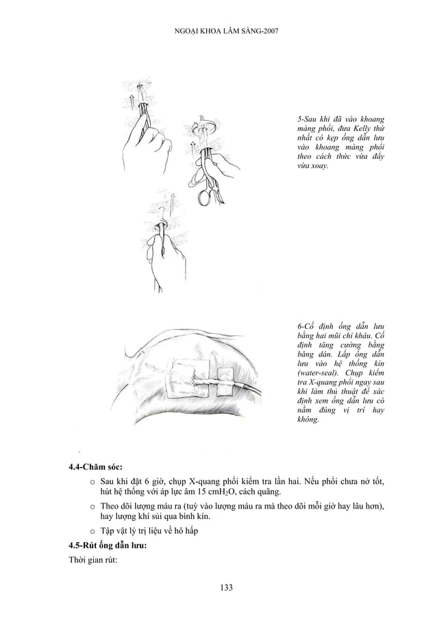 08 dan luu 2007 | PDF