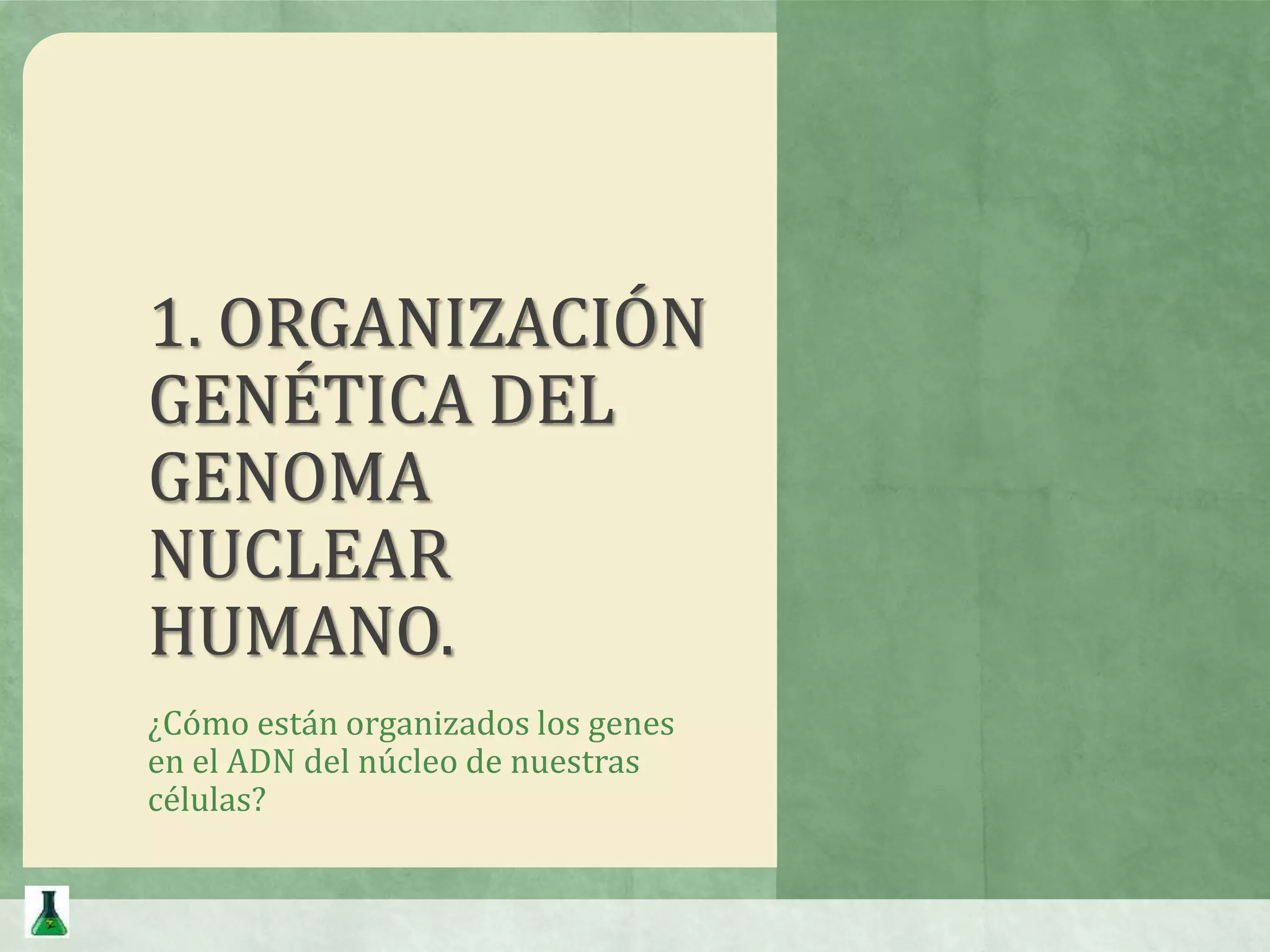 El Genoma Humano | PPTX