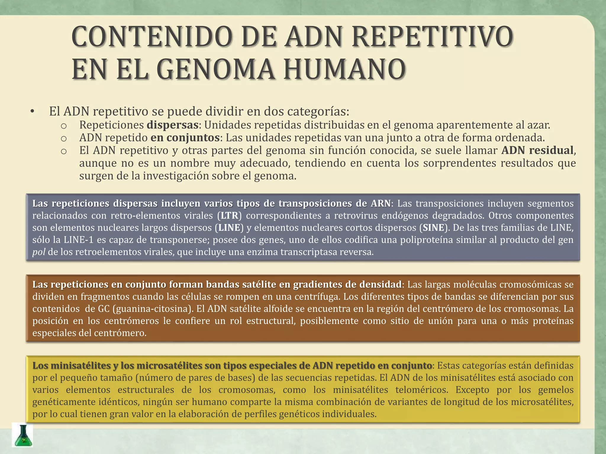 El Genoma Humano | PPTX