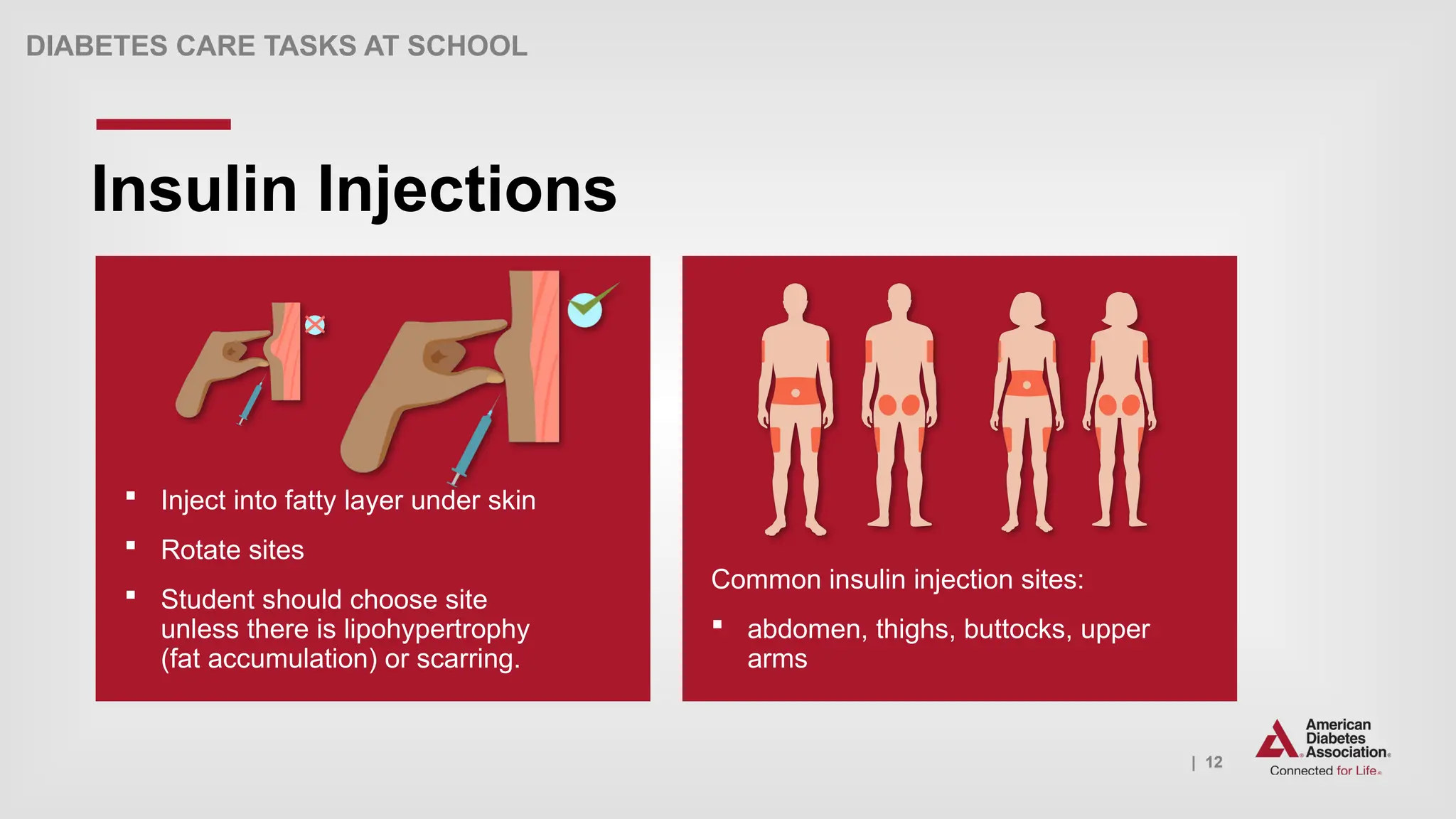 Basics about Insulin Basics.pptx Basics about Insulin Basics about ...