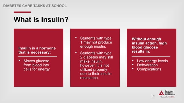 Basics about Insulin Basics.pptx Basics about Insulin Basics about ...