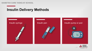 Basics about Insulin Basics.pptx Basics about Insulin Basics about ...