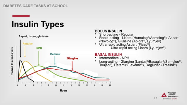 Basics about Insulin Basics.pptx Basics about Insulin Basics about ...