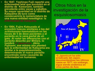 Esquisotomiasis en epidemiologia sociocultural | PPT