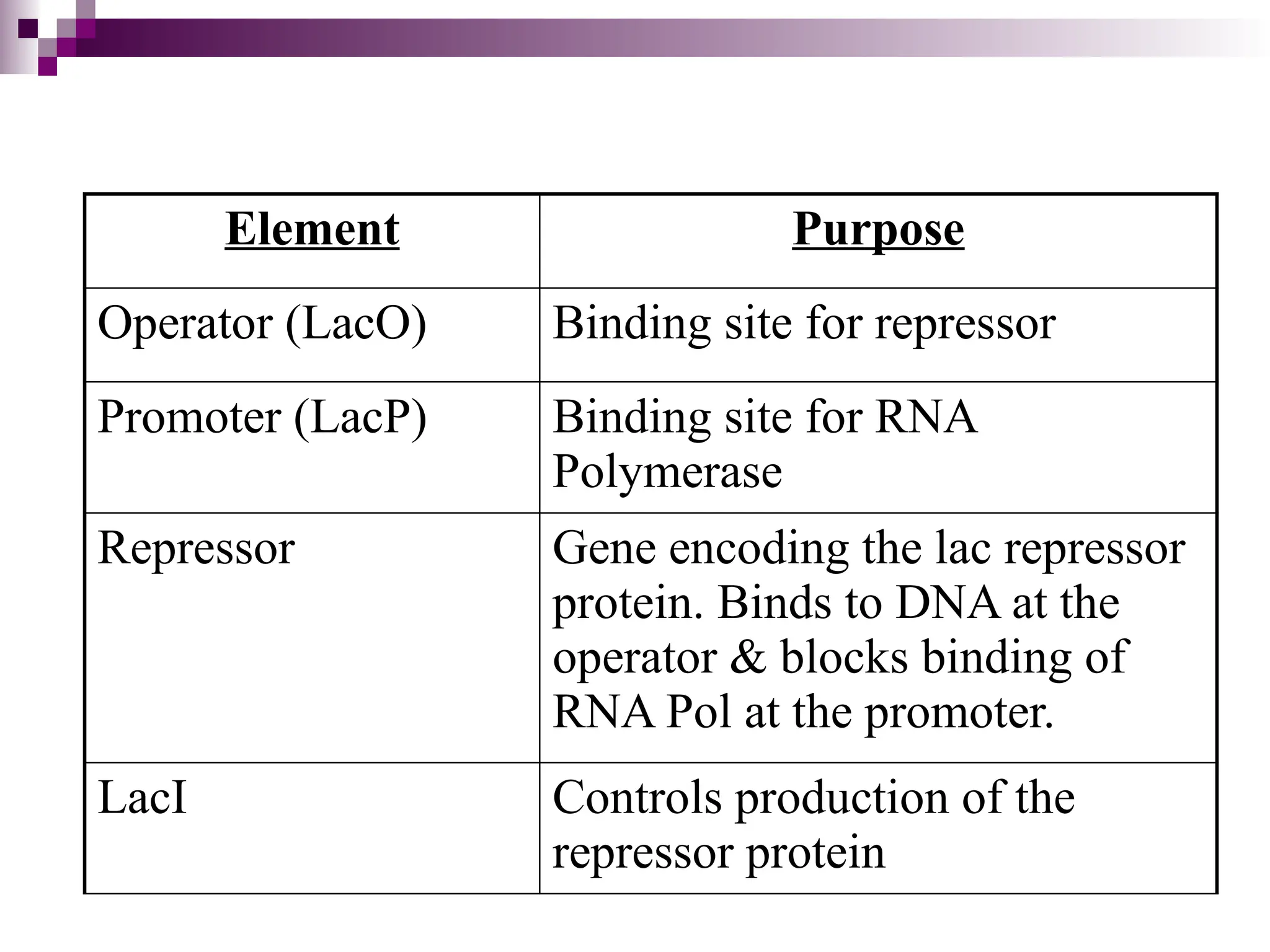 08-lac-lactose operon molecular OPERON-3.pptx