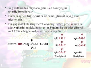 Biyokimya: Lipidler | PPT
