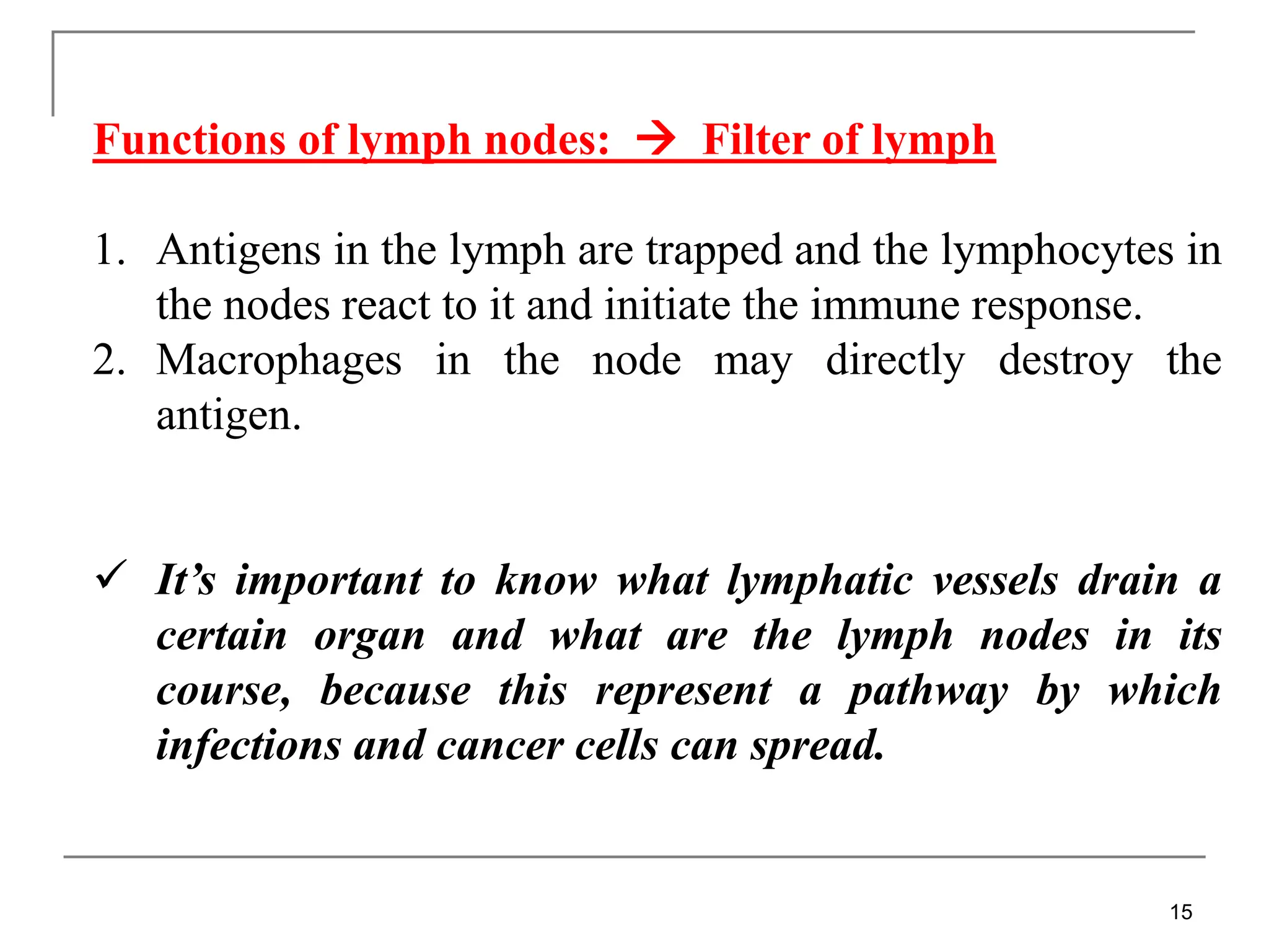 The Lymphatic System and Its Functions on Human Body | PPTX