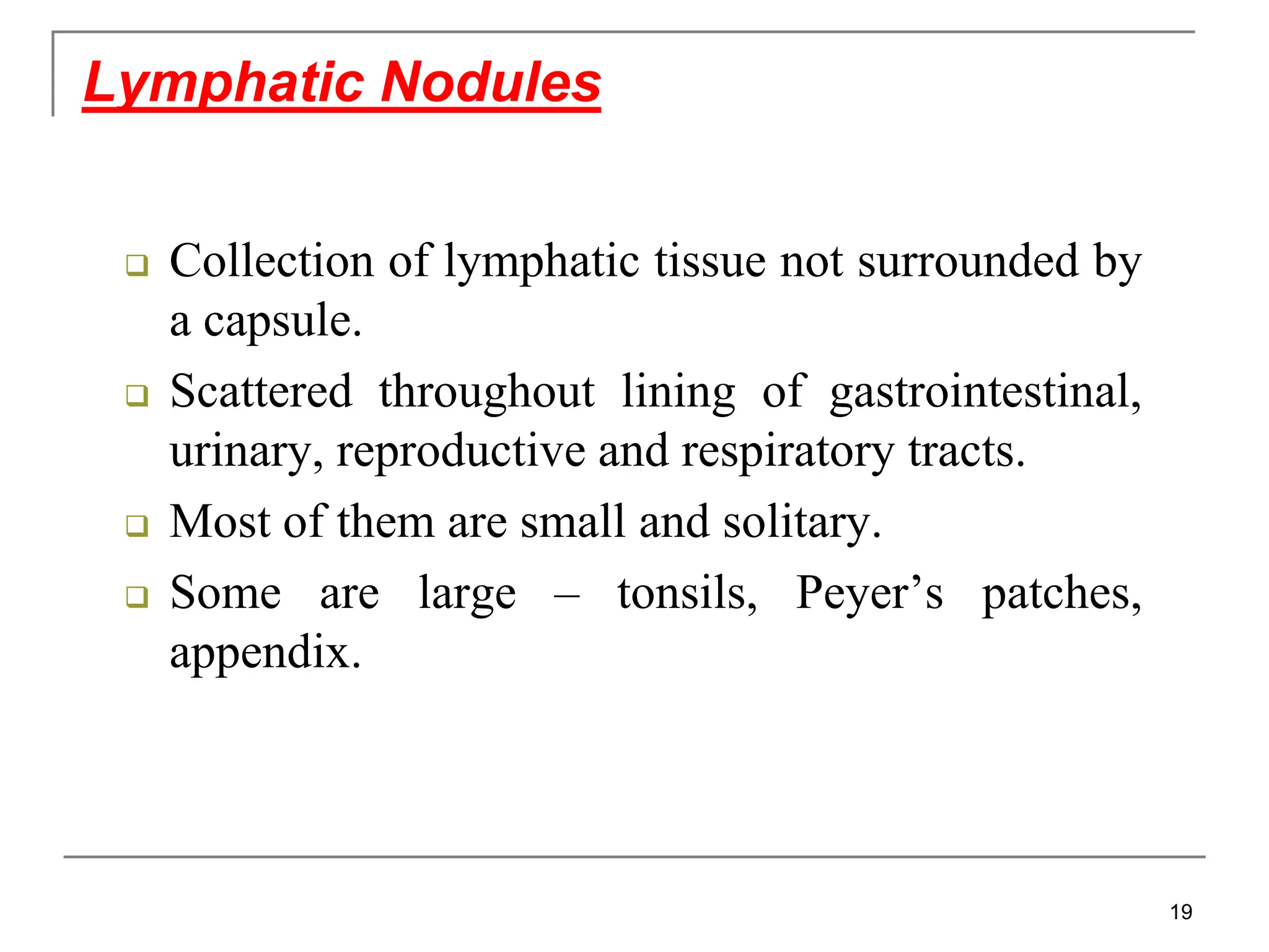 The Lymphatic System and Its Functions on Human Body | PPTX