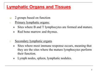 The Lymphatic System and Its Functions on Human Body | PPT