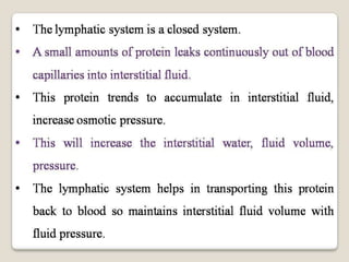 Understanding the Structure and Function of the Lymphatic System in ...