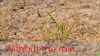 08_-_Masamichi_Tanaka_-_Bigdata_and_AI_in_IOT.pdf