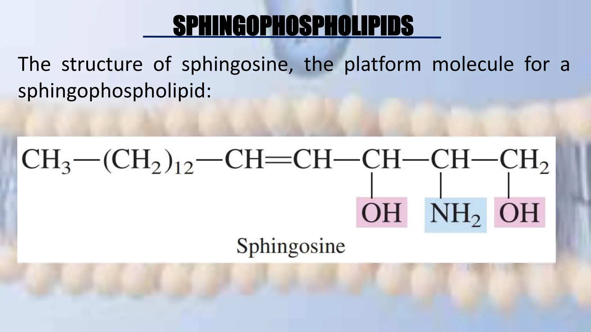 08-Membrane-Lipids.pptx powerpoint presentation | PPTX