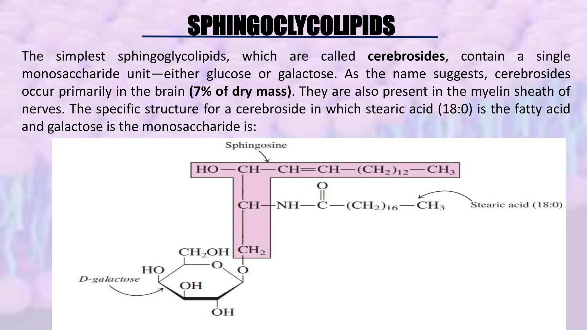 08-Membrane-Lipids.pptx powerpoint presentation | PPTX