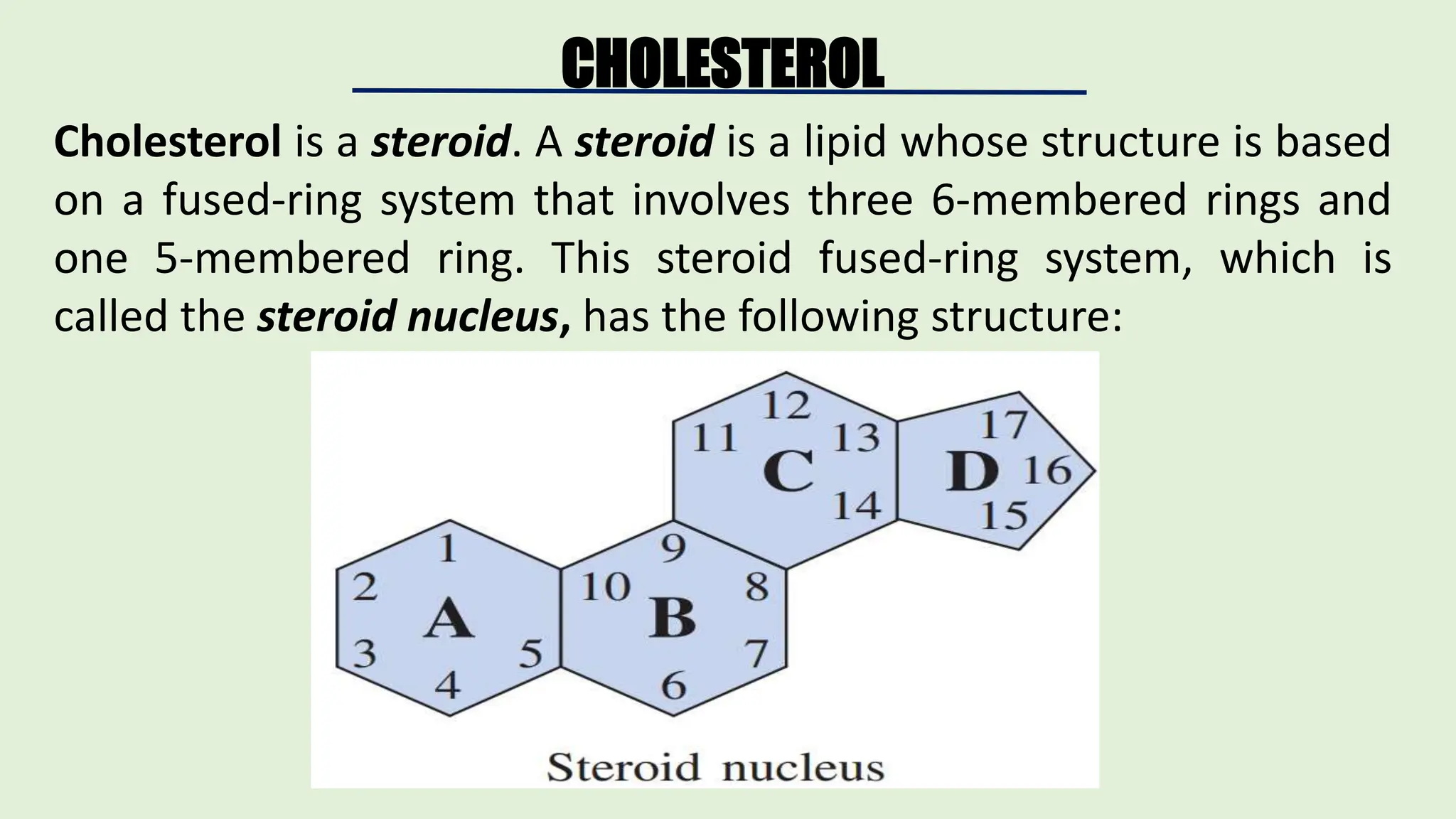 08-Membrane-Lipids.pptx powerpoint presentation | PPTX