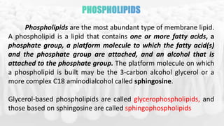 08-Membrane-Lipids.pptx powerpoint presentation | PPTX | Chemistry | Science